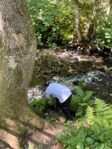 Private Chef Luke R in Sheffield, Yorkshire - yhangry